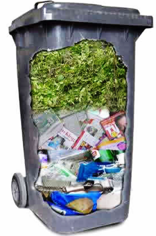 Waste Generation and Diversion Reporting|Will County Green